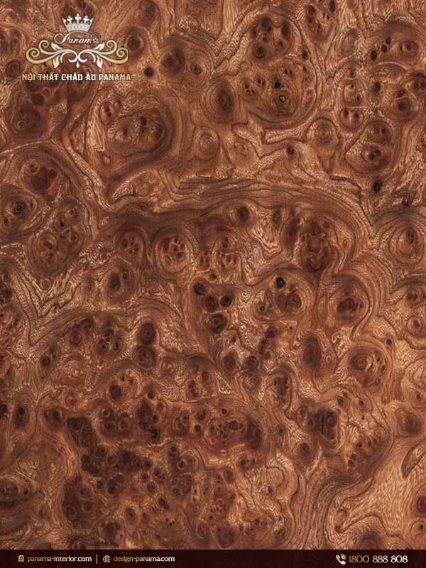 Nu-Veneer - vật liệu mới trong ngành nội thất tân cổ điển mang nét tinh hoa của nhân loại.